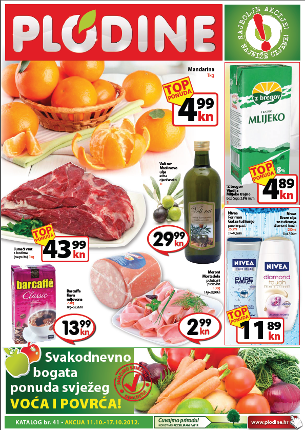 Plodine katalog br.41